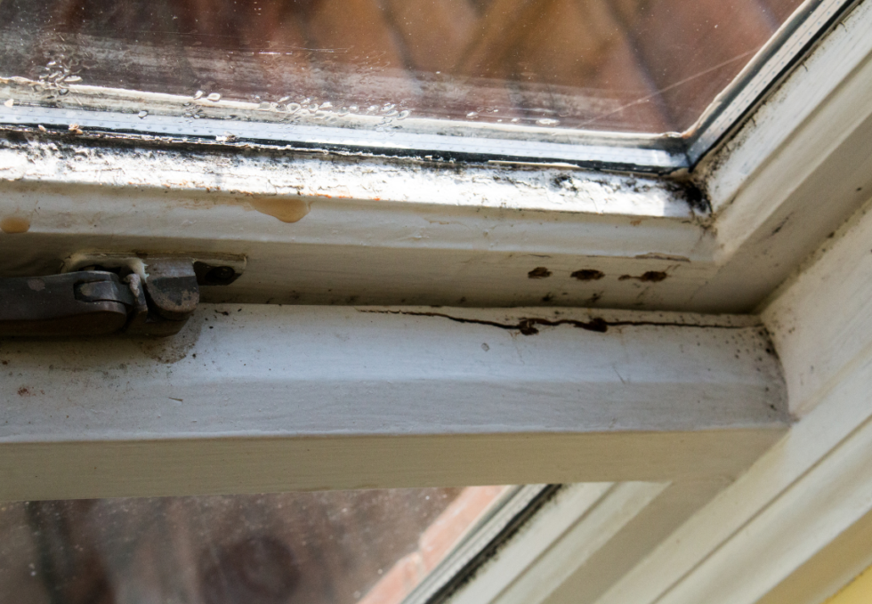 Top Causes And Fixes For A Leaking Window | Roof Right